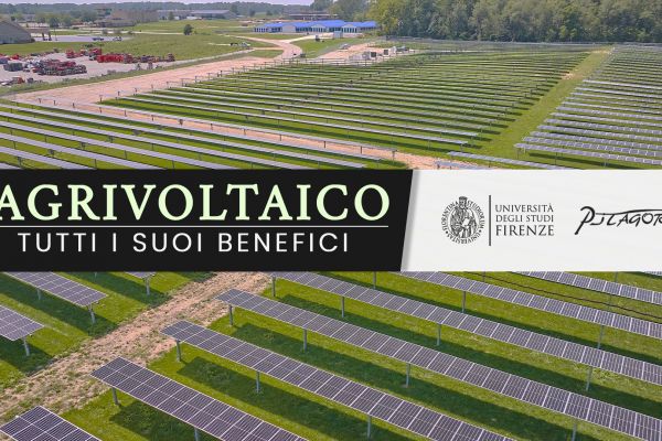 Agrivoltaico: tutti i suoi benefici